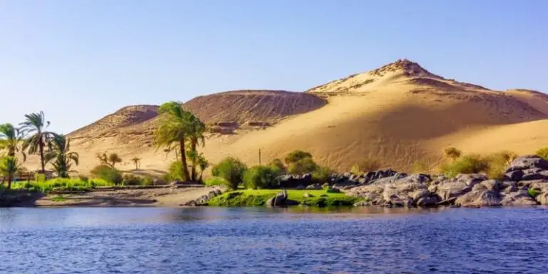 Rio Nilo - informação, flora, fauna, importância e características